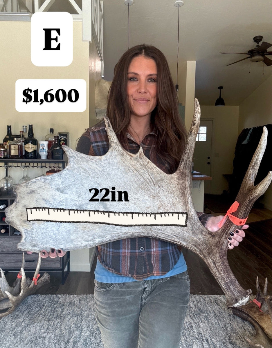 Custom Painted Moose Paddle – Megan Stortz Art