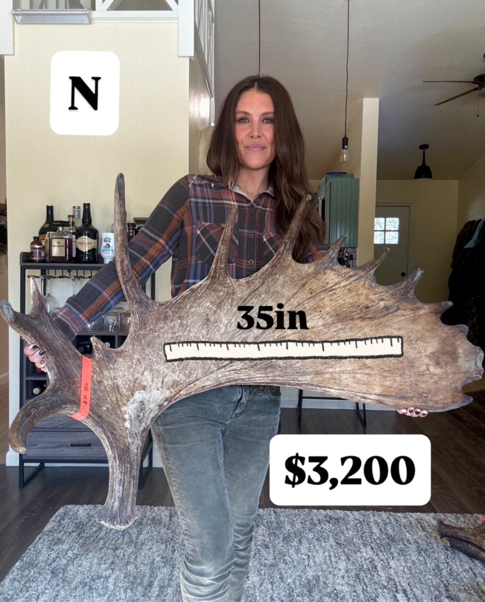 Custom Painted Moose Paddle – Megan Stortz Art